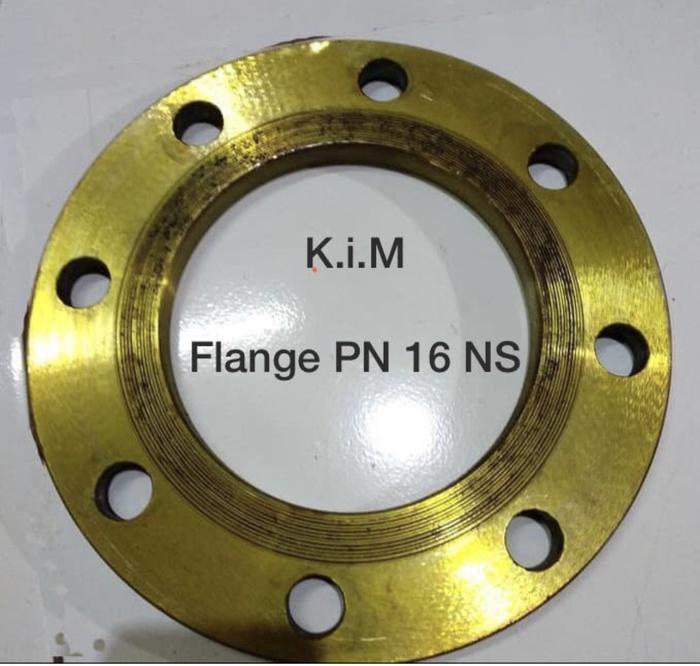 Jual 10" Flange Las PN 16 (10 inch) -Besi PN10 RF DN250 Din 250 Melek ...