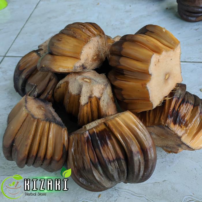 Jual BUAH NIPAH / BUAH POHON DAHON RAWA - Jakarta Barat - TIRTA NIRMALA ...