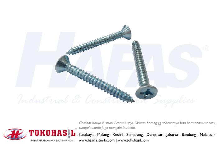 Jual Sekrup / Skrup Tapping (Screw) FH #6x1 1/2" - 1.000 pcs - Jakarta Barat - PT HASIL FASTINDO ...