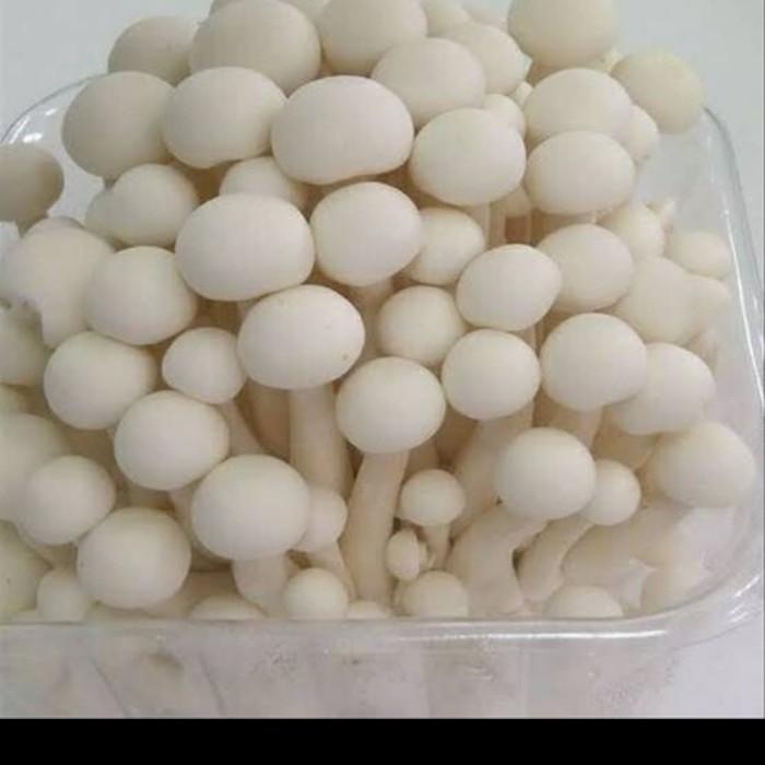 Jual jamur shimeji white/brown 1 pack - Jakarta Barat - HAPPY FRUIT ...