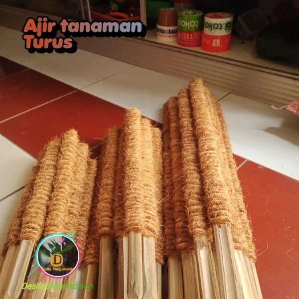 Jual ajir tanaman - turus sabut kelapa - tiang penyangga tanaman hias ...