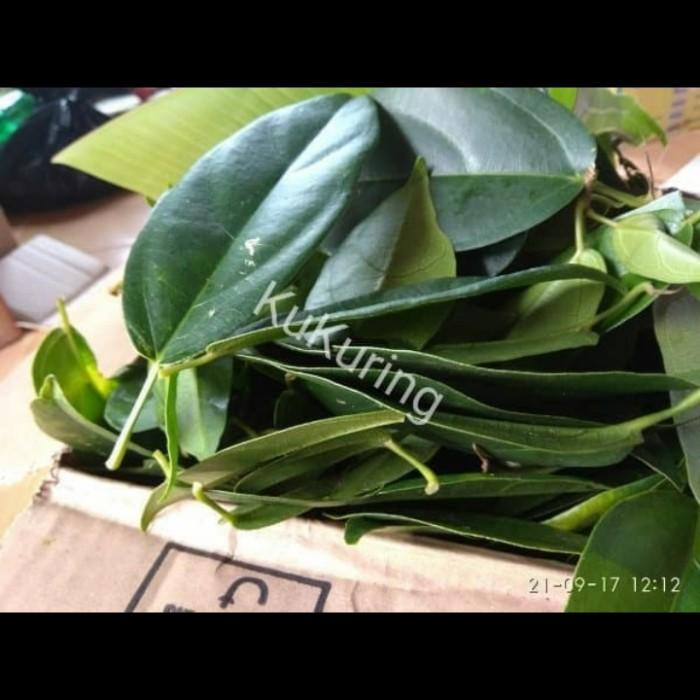 Jual daun cincau hijau segar FRESH - Kota Depok - KEBUN HERBAL IND ...