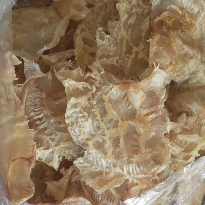 Jual PERUT IKAN MAYONG HIPIO HEPIO HUPIO LAMBUNG IKAN MAYUNG 1 KG ...