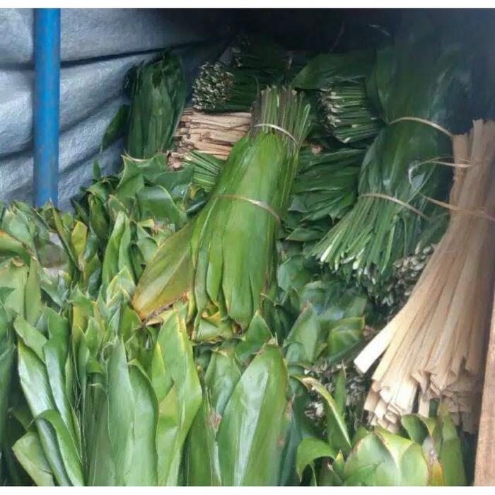 Jual BUNGKUS BACANG/BAKCANG 1KG DAUN HANJUANG ATAU ANDONG - Kota ...