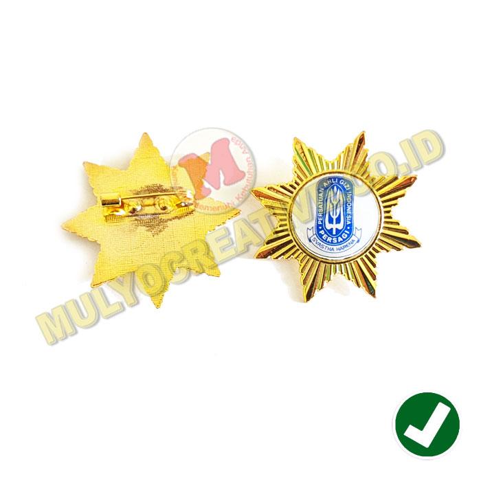 Jual Pin Logo Persatuan Ahli Gizi Indonesia Persagi Model Bintang - Kab ...
