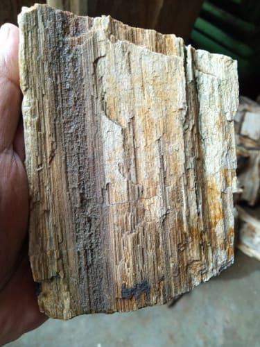 Jual Rough Batu Suiseki Fosil Kayu Untuk Bahan Mata Akik Hiasan ...