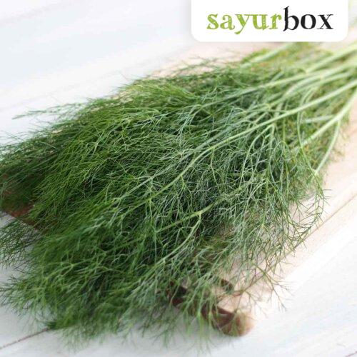 Jual Daun Dill 100 gram Sayurbox - Jakarta Selatan - Sayurbox | Tokopedia