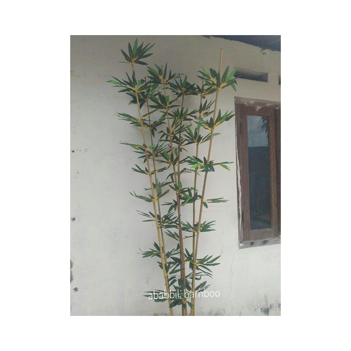 Jual GROSIR 1Bambu Cendani lurus 2m daun bambu /1L2cm DB20 - Jakarta ...