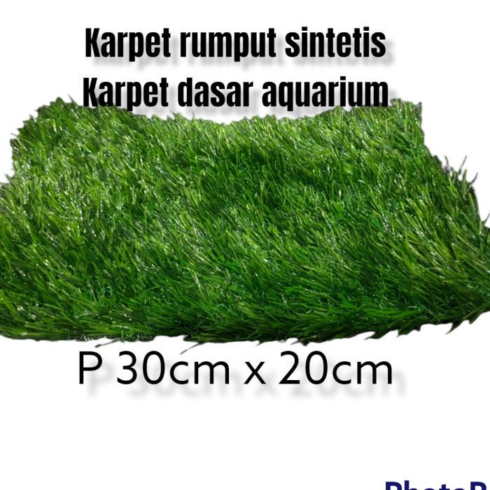 Jual rumput sintetis karpet dasar aquarium 30x20cm rumput karpet ...