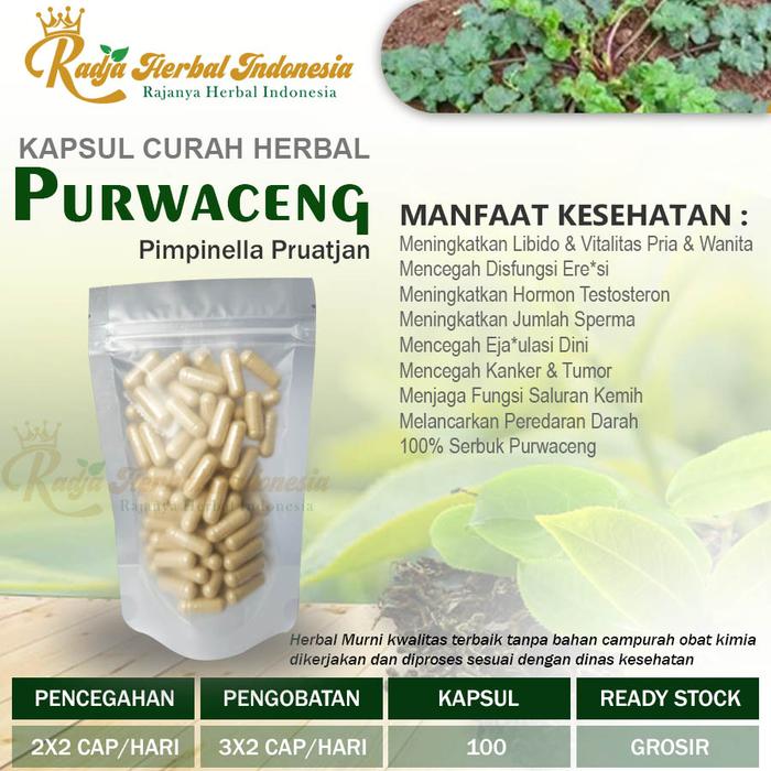 Promo Kapsul Curah PURWACENG 600mg Libido Booster Herbal Jamu Kuat Pria ...