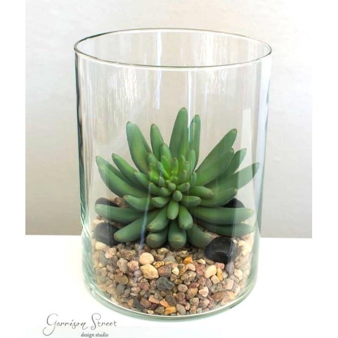 Jual Vas Kaca Pot Terarium / Pot Kaca Hidroponik / Vas Bunga Aesthetic ...