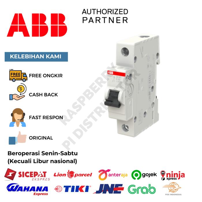 Jual MCB 1P 10A ABB SH201L-C10 - Jakarta Barat - Raspberry Pi Distributor | Tokopedia