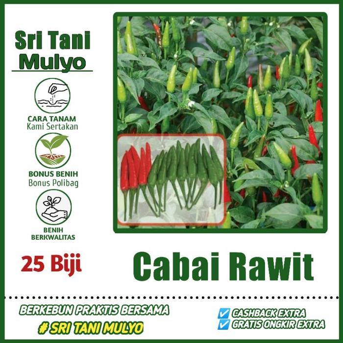 Jual 25 BIJI - BENIH CABAI RAWIT HIJAU ROBIN F1 - BIBIT CABE BENIH ...