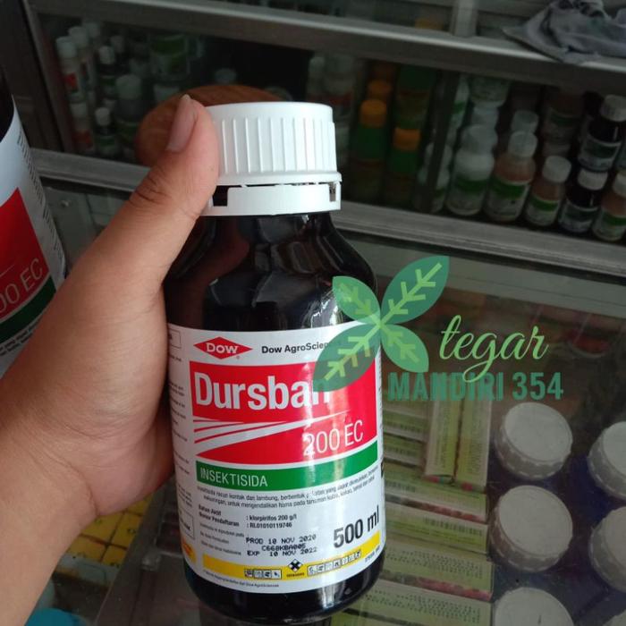 Jual Insektisida drusban 500ml pembasmi hama dusban 500ml Racun ulat ...