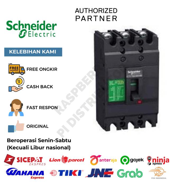 Jual MCCB Easypact EZC100F 10kA 415V AC 80A 3 poles Schneider ...