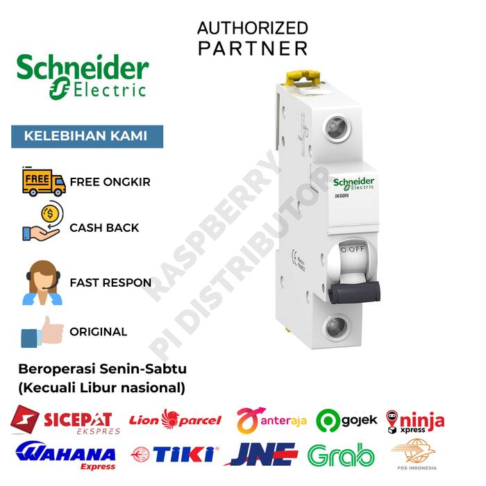 Jual MCB 4,5kA IK60a 1P 6A SCHNEIDER A9K14106 - Jakarta Barat - Raspberry Pi Distributor | Tokopedia