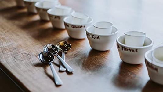 Jual Brewista Professional Coffee Cupping Spoon For Roasters And ...