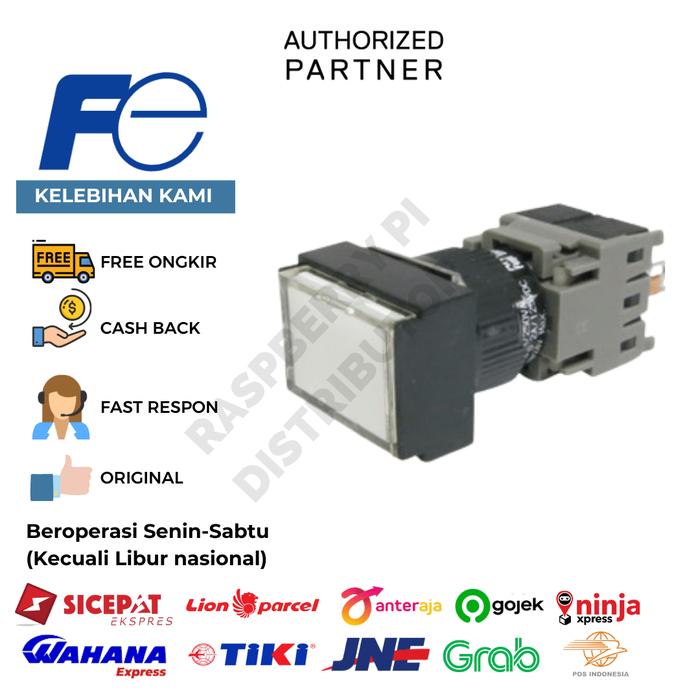 Jual FUJI AH164-TGL5W11E5 PUSH BUTTON SERIES AH16 TGL 16MM PUSH LOCK ...