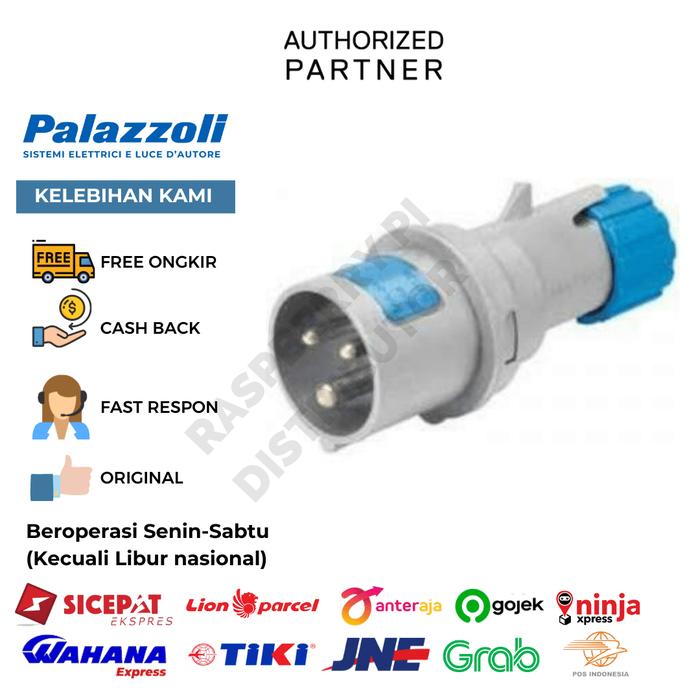 Jual Palazzoli 700226 MULTIMAX STRAIGHT PLUG 32A 2P+E 200-250V 50-60HZ 6H - Jakarta Barat ...