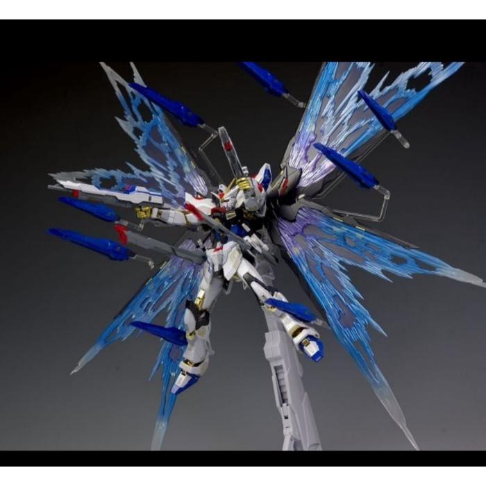 Strike Freedom Perfect Grade Daban