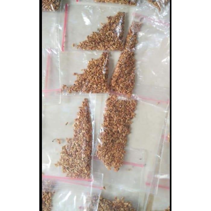 Jual biji atau benih santigi mawar super likddo 2764om - Jakarta Pusat ...