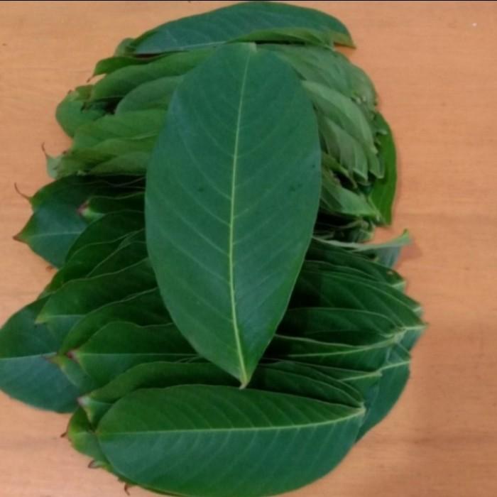 Jual daun bungur,daun ketangi,Laban segar obat herbal per 500 gram ...