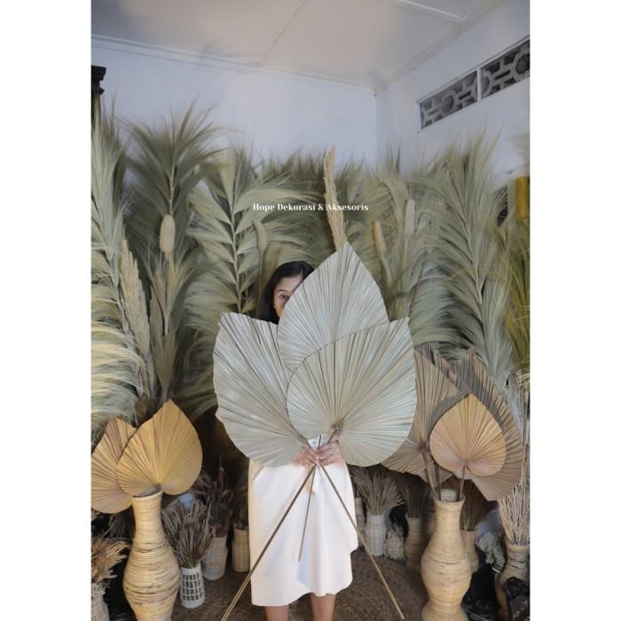 Jual DAUN PALEM / DAUN PALM KERING DEKORASI RUSTIC UKURAN SEDANG ...