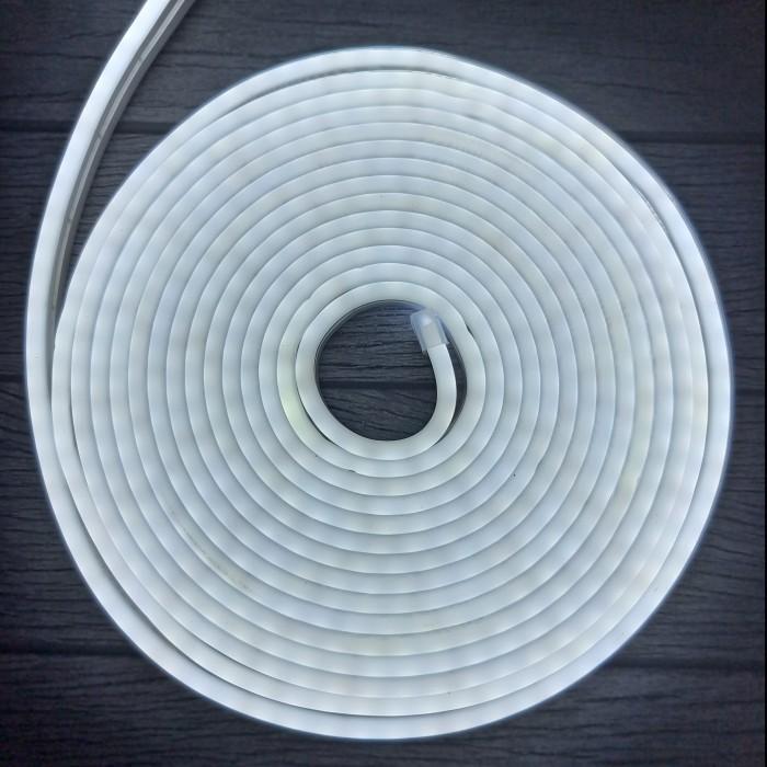 Jual Lampu Neon Flex LED Strip Flexible 5 M DC 12V IP65 Waterproof ...