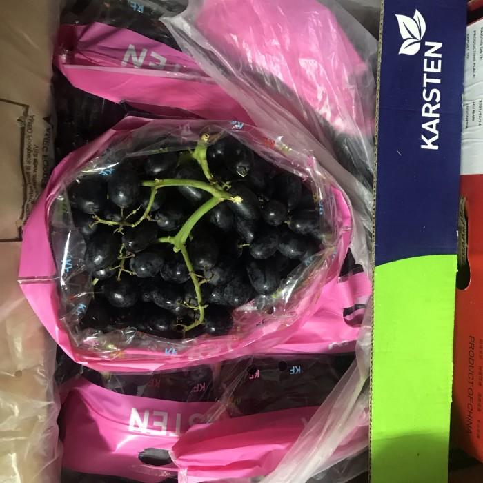 Jual Anggur Afrika Tanpa biji Karsten 4.5kg Asam Manis (hitam) KT11 ...