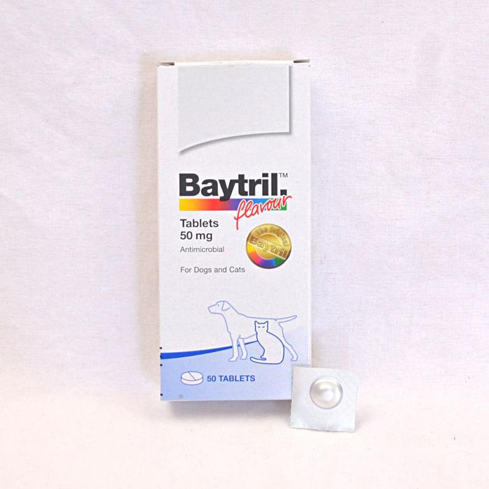 Jual BAYTRIL Obat Antibiotik Flavour Tablets 50 Mg 1 pcs - Jakarta ...