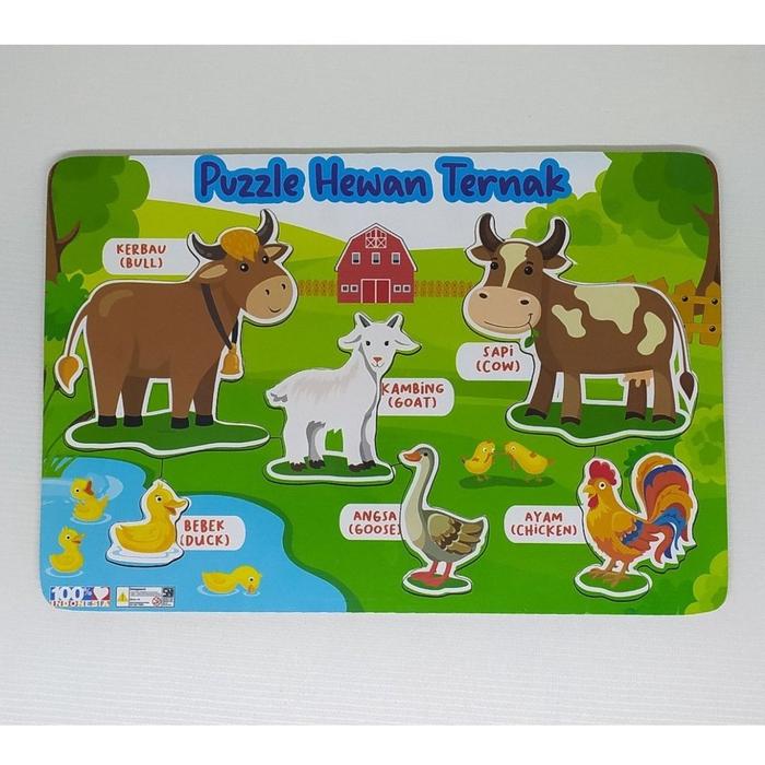 Jual Puzzle Kayu Mainan Anak Edukatif Warna Mengenal Hewan Huruf Abjad ...