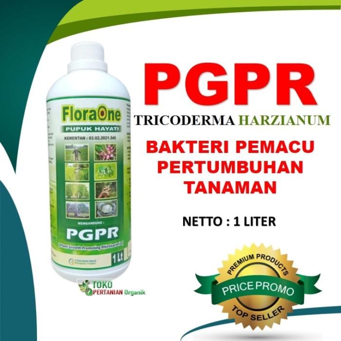Jual TRICHODERMA Pupuk Hayati Obat penyakit akar kelapa sawit, PGPR ...