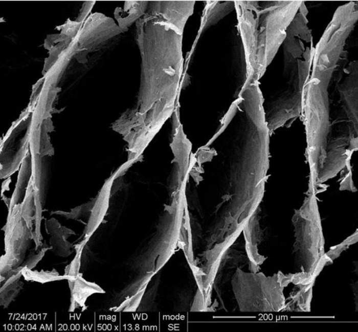 Jual Ultralight Graphene Aerogel Highly Elastic Graphene Aerogel Doped - Jakarta Selatan ...