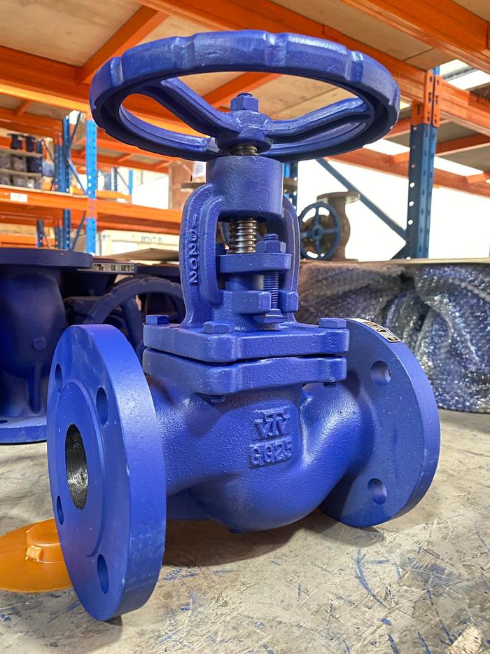 Jual Globe Valve Cast Iron Pn16 Steam Vtv - Size 1/2 Inch - Jakarta ...