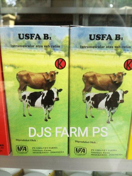 Jual Vitamin B1 USFA 100ml Vitamin B1 hewan ternak sapi kambing domba ...