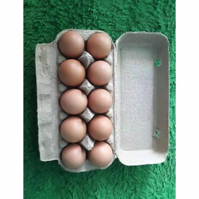 Jual Aâœ”c8 Egg Tray Kotak Telur Properti Foto Tempat Telor Kardus Oâ ...