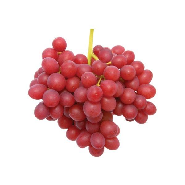 Jual BUAH ANGGUR RED GLOBE AUSTRALIA 500 GR - Kab. Tangerang ...