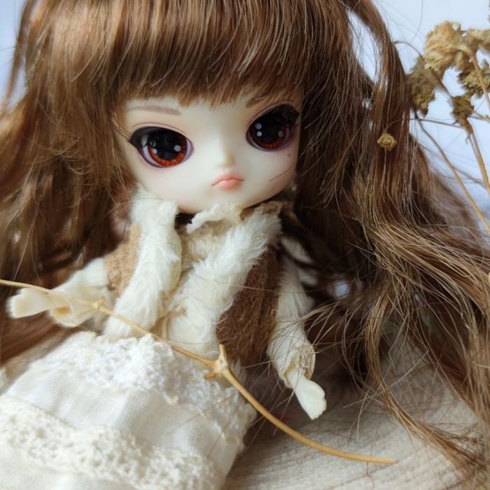 Jual Chibi Risa Sweet Girl Docolla Doll Fashion Original Jepang Boneka ...