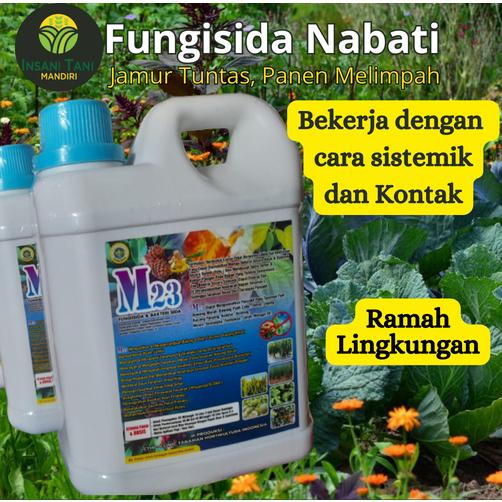 Jual [M23 FUNGISIDA NABATI] Fungisida Sistemik dan kontak Pembasmi ...