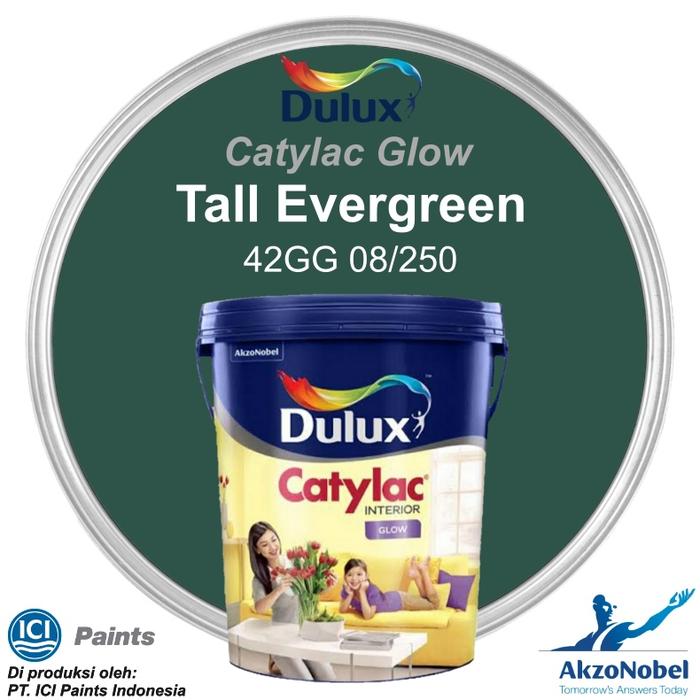 Jual CAT DULUX CATYLAC GLOW 22 KG - TALL EVERGREEN 42GG 08/250 ...