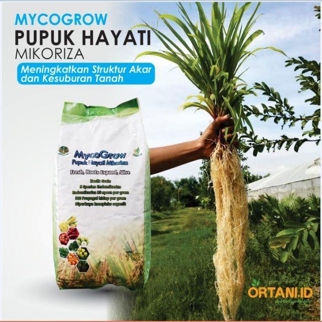Jual MycoGrow Pupuk Organik Hayati Mikoriza 1 kg - Kab. Ponorogo ...