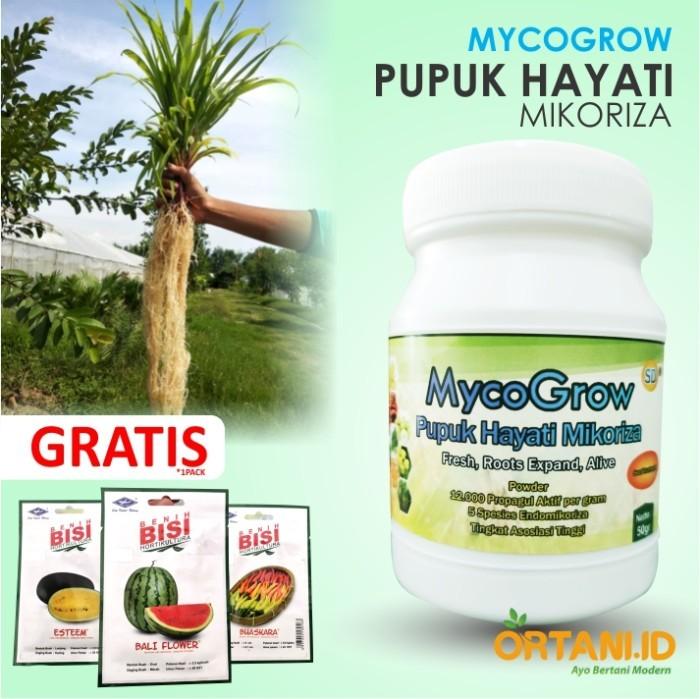 Jual Pupuk Hayati Mikoriza MycoGrow Powder 50gr Pupuk Organik - Kab ...