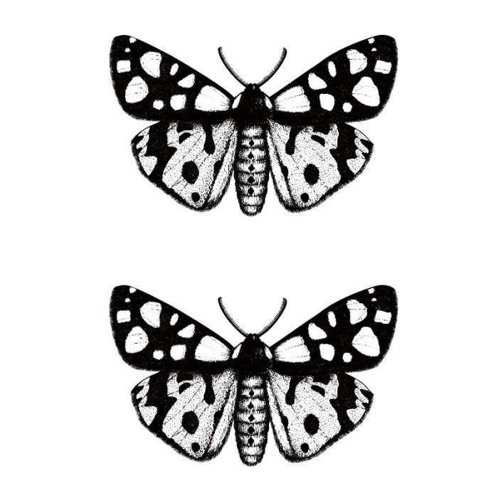 Jual Insect Moth Worm Temporary Tattoo Sticker Waterproof Butterfly ...