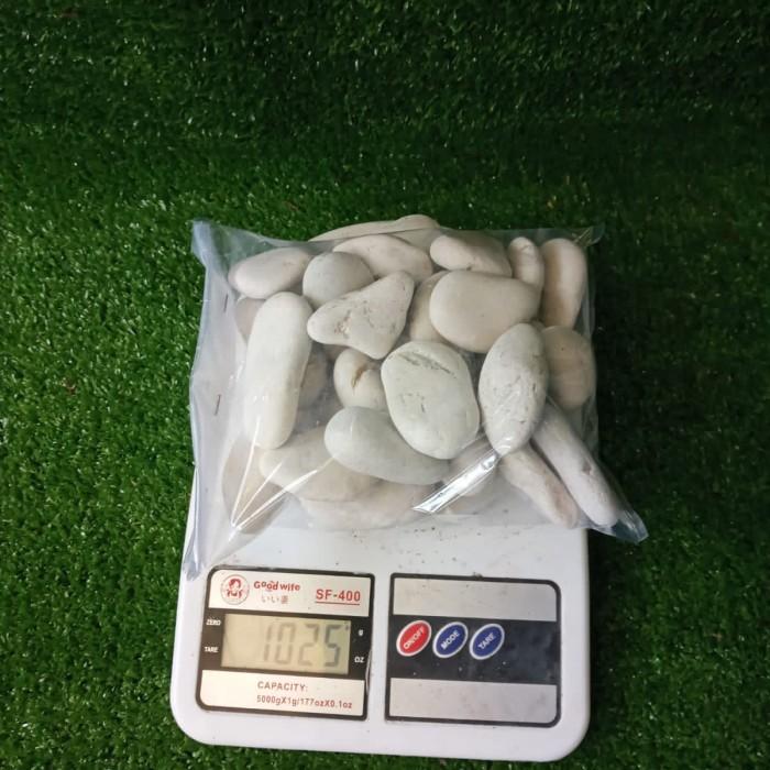 Jual Batu coral putih pipih, batu pipih 25-30, batu taman pipih, batu ...