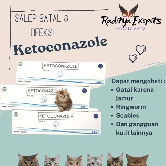 Jual Ketoconazole Salep Obat Gatal Jamur Scabies Ringworm Kulit Kucing ...