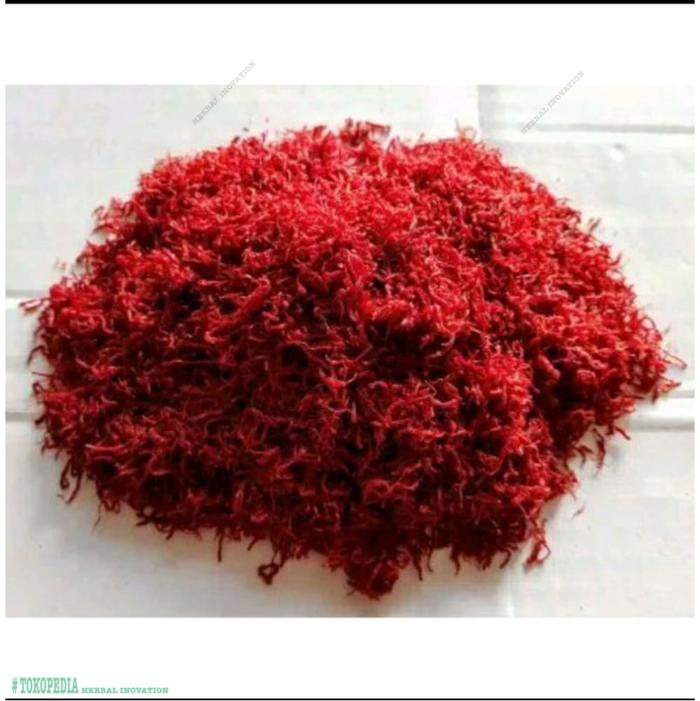 Jual 600 G GR GRAM ZANG HONG HUA BUNGA MERAH SPANYOL SAFFRON FLOWER COD ...