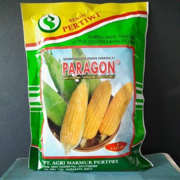 Jual Benih Jagung Manis Kuning Hibrida Paragon F1 1750 Biji Sayuran ...