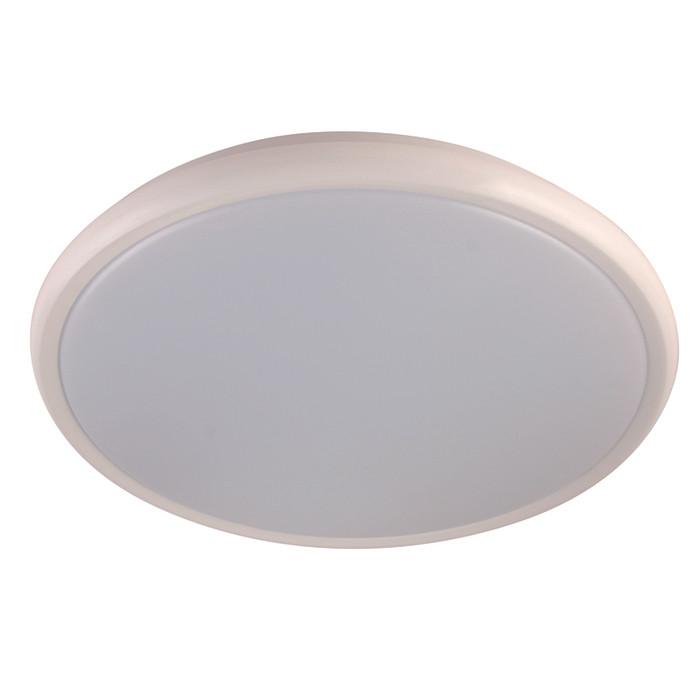Jual Nerolight Ultra Bright LED Round Ceiling Light 12W Super Daylight ...