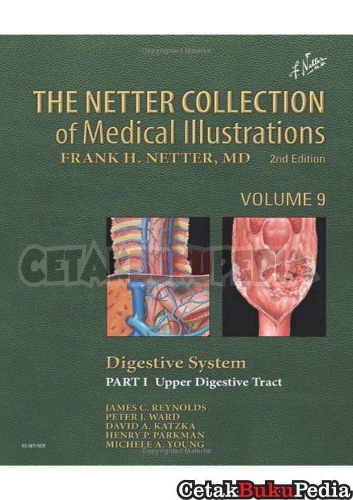 Jual Netter Collection of Medical Illustrations Digestive System - Kota ...