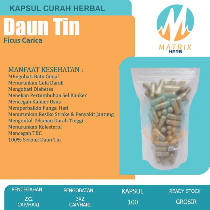 Jual DAUN TIN 100 Kapsul Herbal Herpes Batu Ginjal TBC Hati Tinggi ...